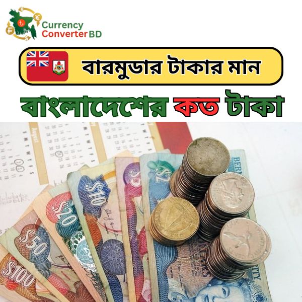 আর্জেন্টিনার টাকার মান কত বাংলাদেশে ২০২৫ সালে? - Currency Converter BD
